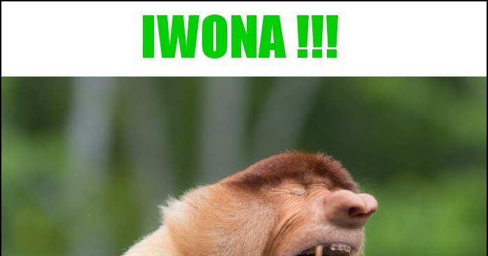 IWONA !!! memy, gify i śmieszne obrazki facebook, tapety, demotywatory ...