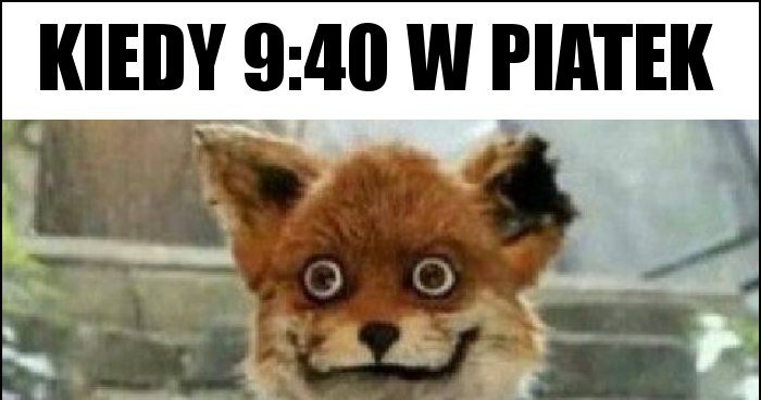 Kiedy 9:40 w piatek memy, gify i śmieszne obrazki facebook, tapety ...