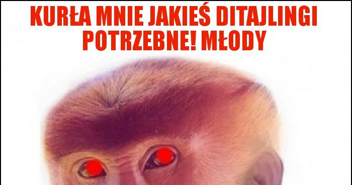 Kurła mnie jakieś ditajlingi potrzebne! Młody memy, gify i śmieszne ... Kurła mnie jakieś ditajlingi potrzebne! Młody memy, gify i śmieszne ...