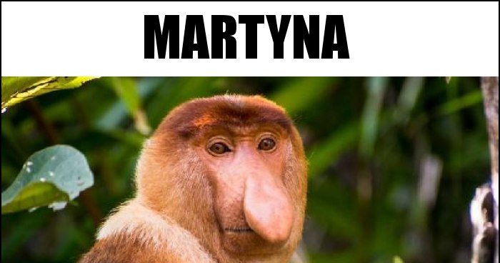 Martyna memy, gify i śmieszne obrazki facebook, tapety, demotywatory ...