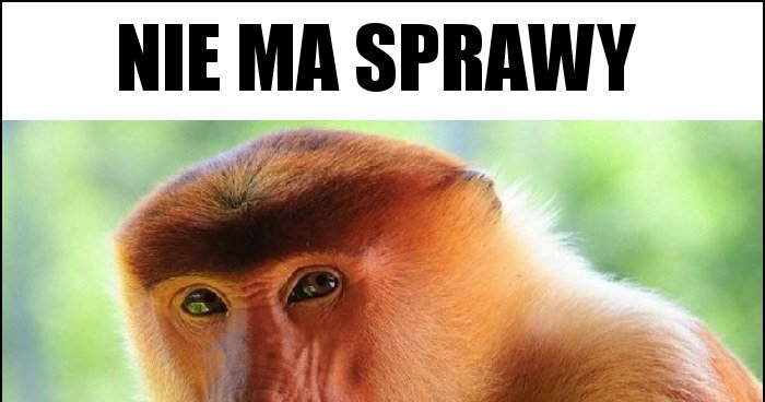 Nie ma sprawy memy, gify i śmieszne obrazki facebook, tapety ...