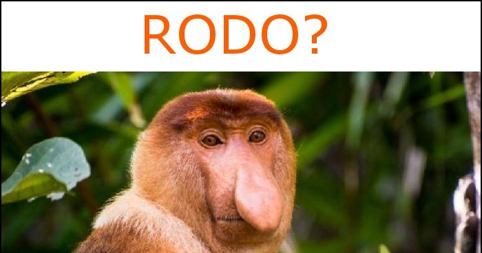 Rodo? memy, gify i śmieszne obrazki facebook, tapety, demotywatory zdjęcia