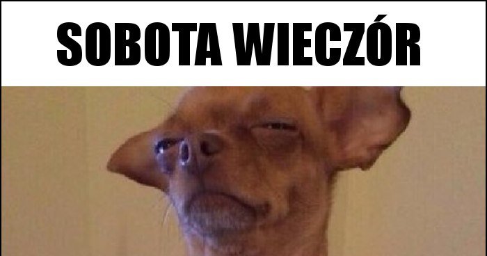 Sobota wieczór memy, gify i śmieszne obrazki facebook, tapety ...