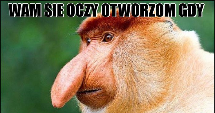 wam sie oczy otworzom gdy memy, gify i śmieszne obrazki facebook ...