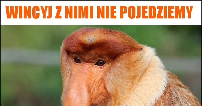 wincyj z nimi nie pojedziemy memy, gify i śmieszne obrazki facebook ...