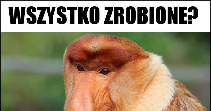 Wszystko zrobione? memy, gify i śmieszne obrazki facebook, tapety ...