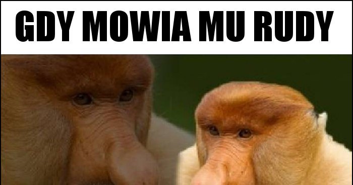 Gdy mowia mu Rudy memy, gify i śmieszne obrazki facebook, tapety ...