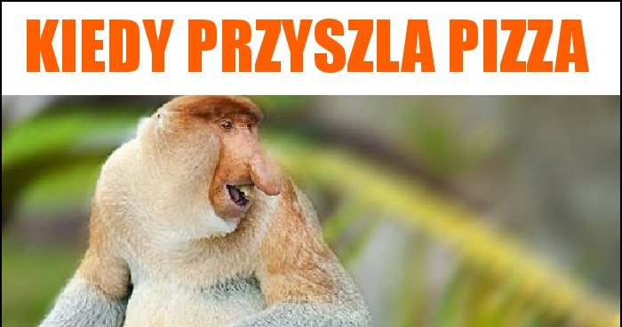 Kiedy przyszla pizza memy, gify i śmieszne obrazki facebook, tapety ...