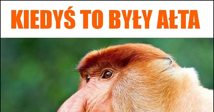 Kiedyś to były ałta memy, gify i śmieszne obrazki facebook, tapety ...
