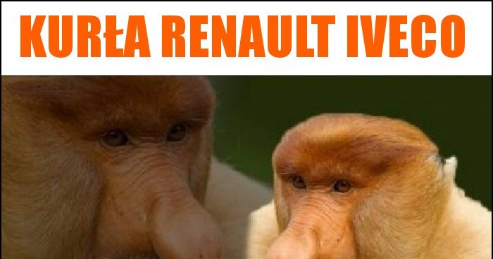 Kurła renault Iveco memy, gify i śmieszne obrazki facebook, tapety ...
