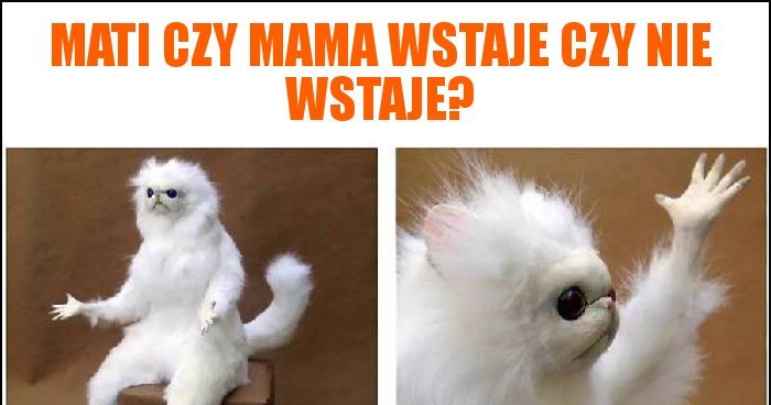 Mati czy Mama wstaje czy nie wstaje? memy, gify i śmieszne obrazki ...