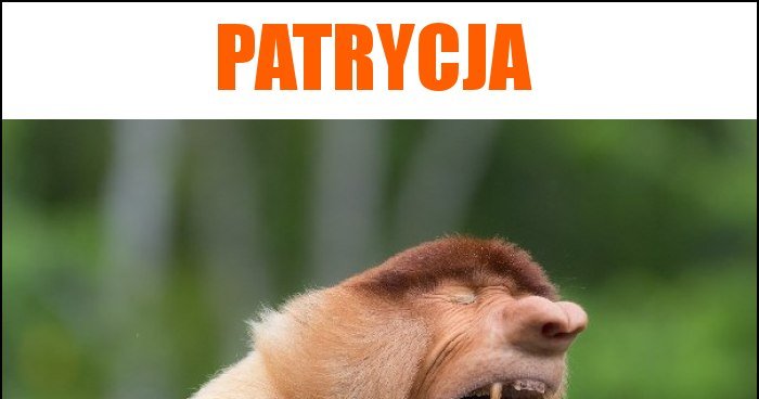Patrycja memy, gify i śmieszne obrazki facebook, tapety, demotywatory ...
