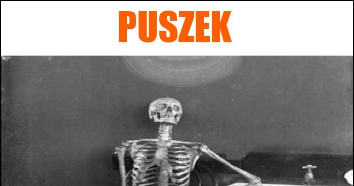 Puszek memy, gify i śmieszne obrazki facebook, tapety, demotywatory zdjęcia