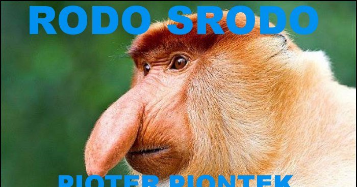 RODO SRODO memy, gify i śmieszne obrazki facebook, tapety, demotywatory ...