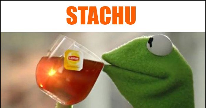 STACHU memy, gify i śmieszne obrazki facebook, tapety, demotywatory zdjęcia