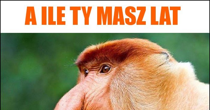 A ile Ty masz lat memy, gify i śmieszne obrazki facebook, tapety, demotywatory zdjęcia