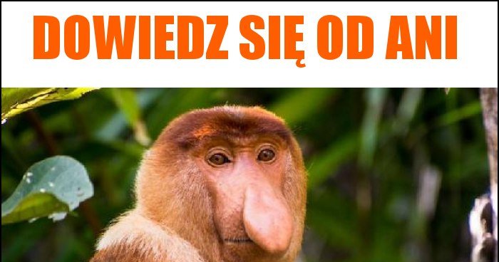 DOWIEDZ SIĘ OD ANI memy, gify i śmieszne obrazki facebook, tapety ...