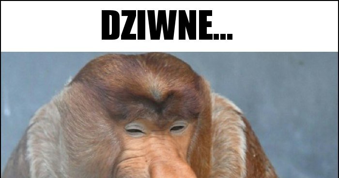 Dziwne... memy, gify i śmieszne obrazki facebook, tapety, demotywatory ...