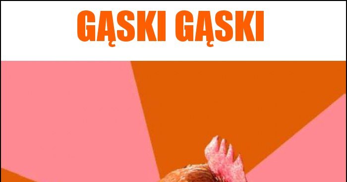 GĄSKI GĄSKI memy, gify i śmieszne obrazki facebook, tapety ...