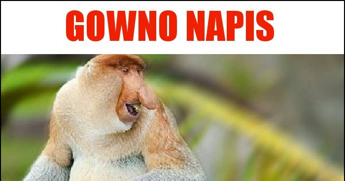 GOWNO NAPIS memy, gify i śmieszne obrazki facebook, tapety ...