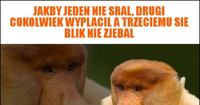 jakby jeden nie sral, drugi cokolwiek wyplacil a trzeciemu sie blik nie ...