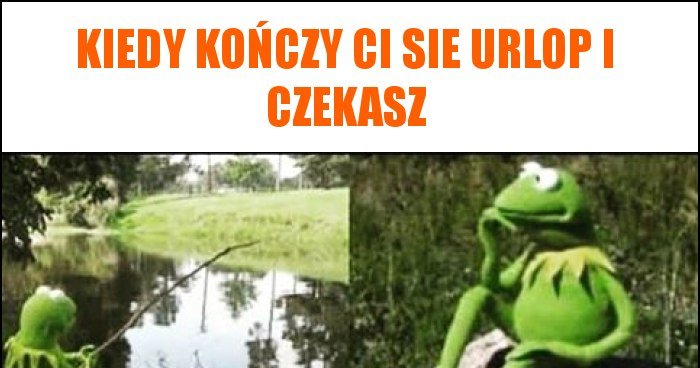 Kiedy kończy ci sie urlop i czekasz memy, gify i śmieszne obrazki ...