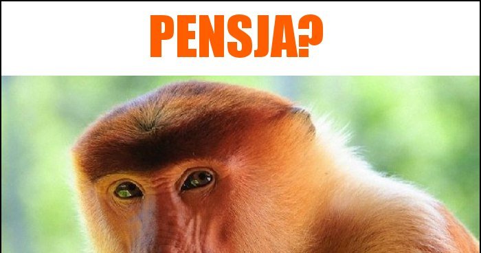 Pensja? memy, gify i śmieszne obrazki facebook, tapety, demotywatory ...