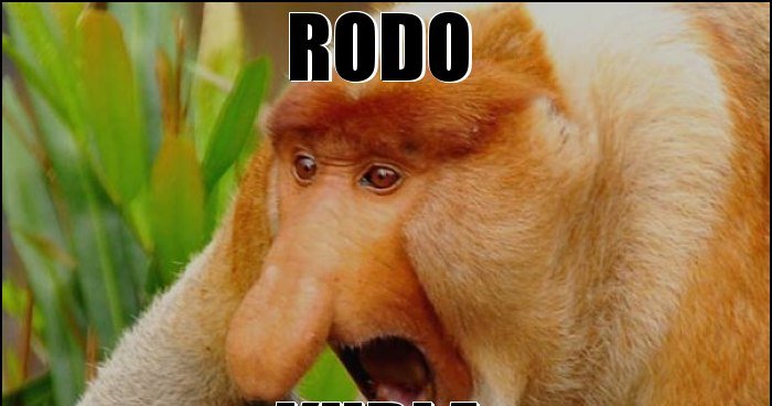 RODO memy, gify i śmieszne obrazki facebook, tapety, demotywatory zdjęcia