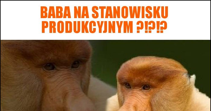 BABA na stanowisku produkcyjnym ?!?!? memy, gify i śmieszne obrazki ...