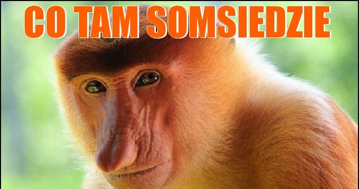 Co tam somsiedzie memy, gify i śmieszne obrazki facebook, tapety, demotywatory zdjęcia