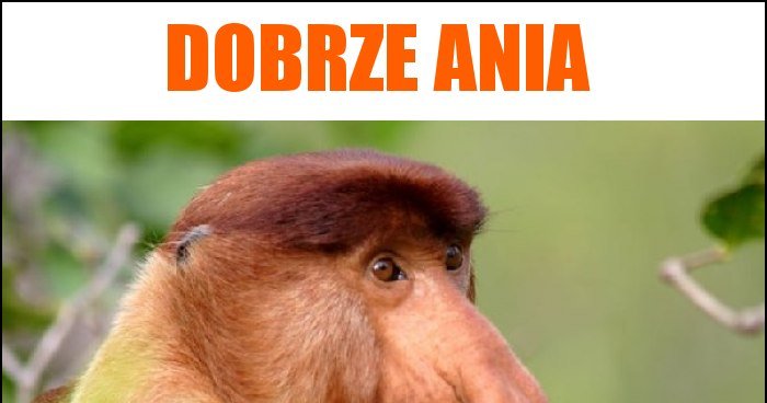 Dobrze Ania memy, gify i śmieszne obrazki facebook, tapety ...