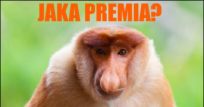 Jaka premia? memy, gify i śmieszne obrazki facebook, tapety ...