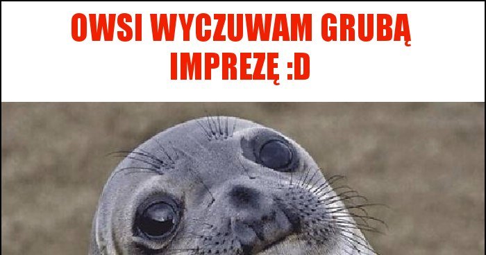 owsi wyczuwam grubą imprezę :D memy, gify i śmieszne obrazki facebook ...