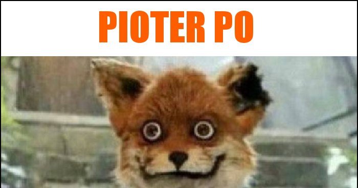 Pioter po memy, gify i śmieszne obrazki facebook, tapety, demotywatory ...