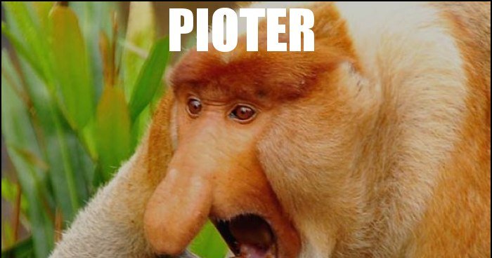 Pioter memy, gify i śmieszne obrazki facebook, tapety, demotywatory zdjęcia
