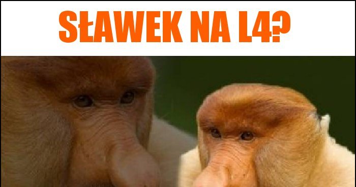 Sławek na l4? memy, gify i śmieszne obrazki facebook, tapety ...