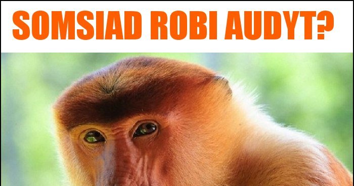 Somsiad robi audyt? memy, gify i śmieszne obrazki facebook, tapety ...