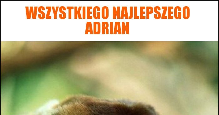 Wszystkiego najlepszego Adrian memy, gify i śmieszne obrazki facebook ...