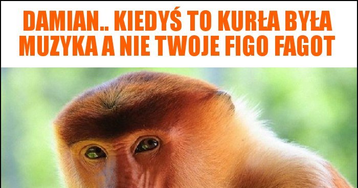 Damian.. Kiedyś to kurła była muzyka a nie twoje Figo fagot memy, gify ...
