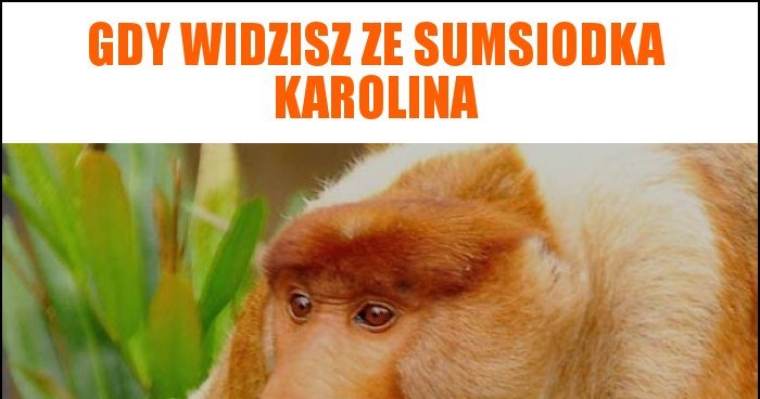 Gdy widzisz ze sumsiodka KAROLINA memy, gify i śmieszne obrazki ...