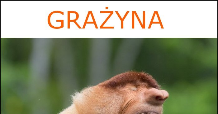 Grażyna memy, gify i śmieszne obrazki facebook, tapety, demotywatory ...
