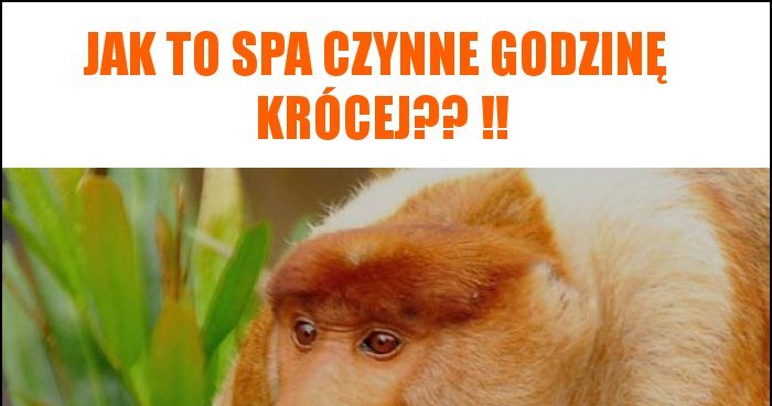 Jak to spa czynne godzinę krócej?? !! memy, gify i śmieszne obrazki ...