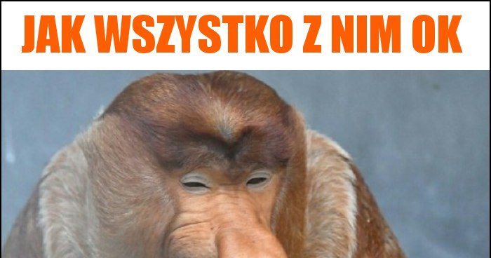Jak wszystko z nim ok memy, gify i śmieszne obrazki facebook, tapety, demotywatory zdjęcia