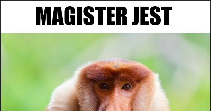 Magister jest memy, gify i śmieszne obrazki facebook, tapety ...