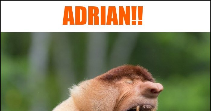 Adrian!! memy, gify i śmieszne obrazki facebook, tapety, demotywatory ...
