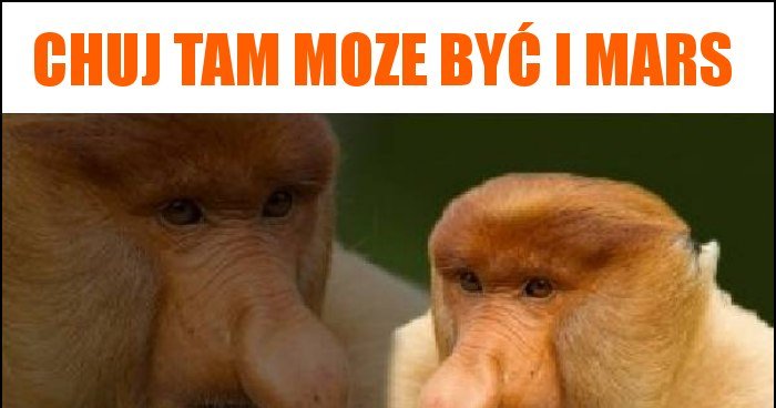 Chuj tam moze być i Mars memy, gify i śmieszne obrazki facebook, tapety ...