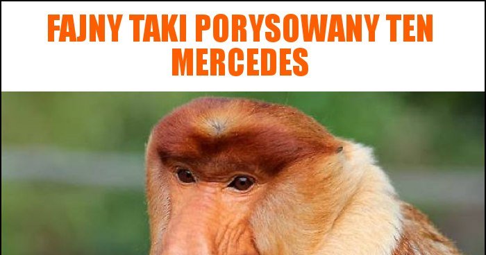 fajny taki porysowany ten mercedes memy, gify i śmieszne obrazki ...