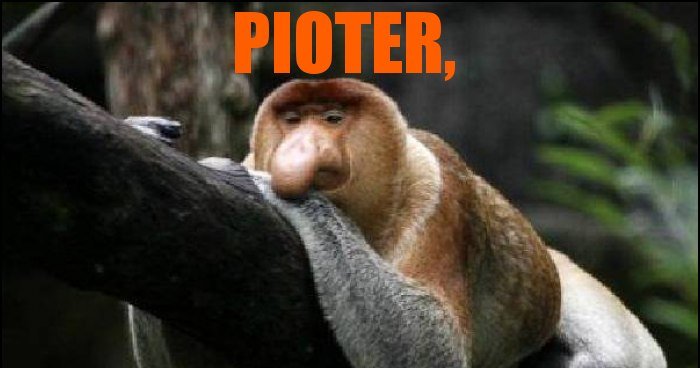 Pioter, memy, gify i śmieszne obrazki facebook, tapety, demotywatory ...