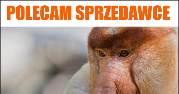 Polecam Sprzedawce memy, gify i śmieszne obrazki facebook, tapety ...
