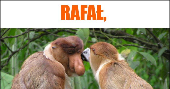 Rafał, memy, gify i śmieszne obrazki facebook, tapety, demotywatory zdjęcia